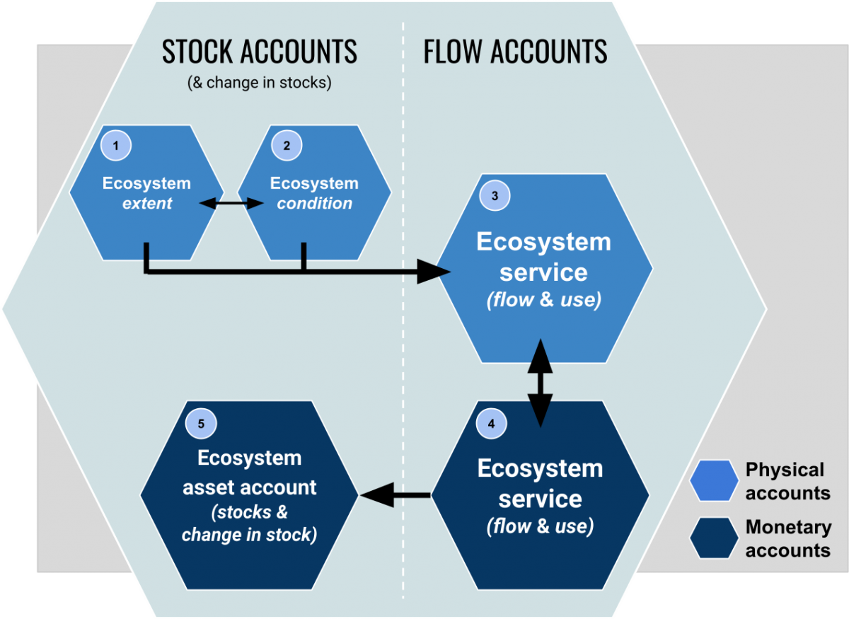 Earth Observation and Ecosystem Accounting | Part II
